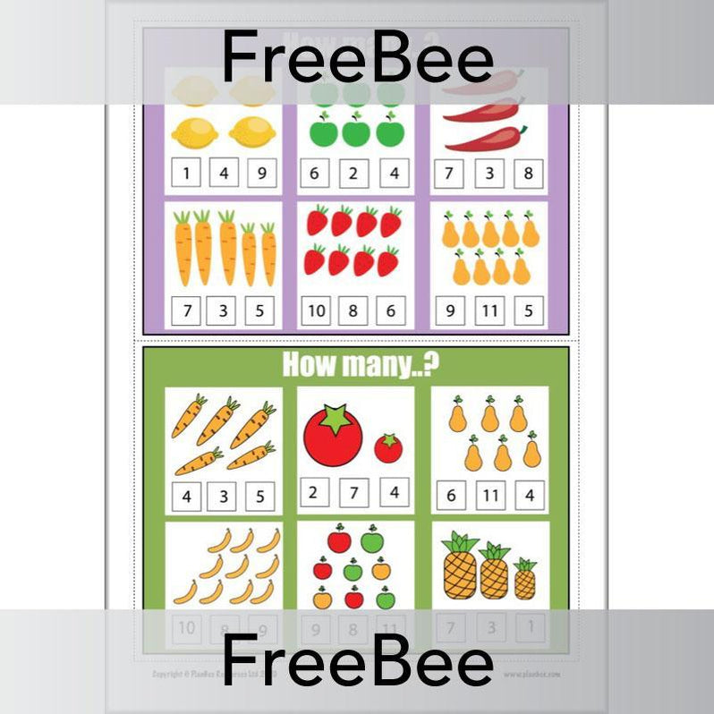 FREE KS1 Counting Cards | How Many...? by PlanBee