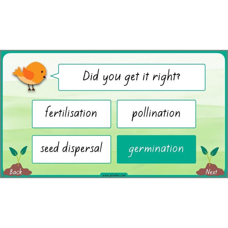 Plants Year 3 Planning Pack | Year 3 Science Plants Lessons — PlanBee