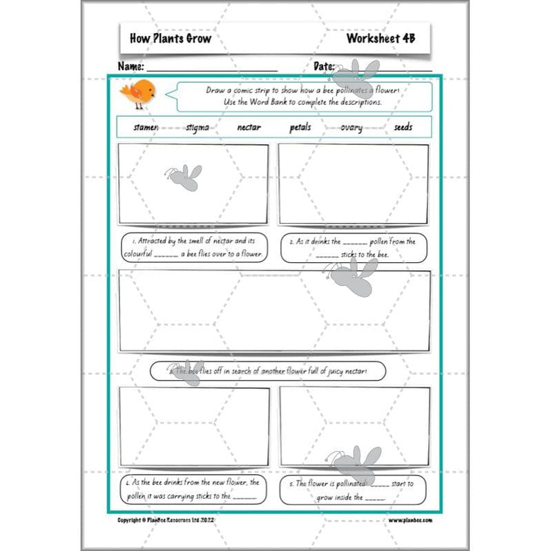 Plants Year 3 Planning Pack | Year 3 Science Plants Lessons — PlanBee