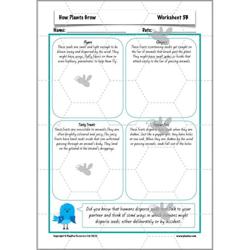 Plants Year 3 Planning Pack | Year 3 Science Plants Lessons — PlanBee