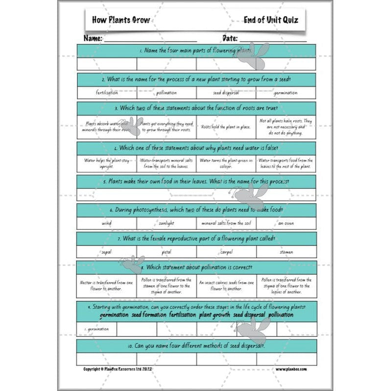 Plants Year 3 Planning Pack | Year 3 Science Plants Lessons — PlanBee
