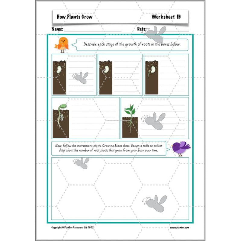 Plants Year 3 Planning Pack | Year 3 Science Plants Lessons — PlanBee