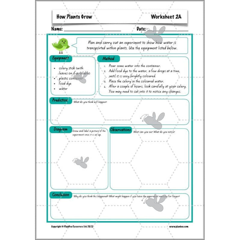 Plants Year 3 Planning Pack | Year 3 Science Plants Lessons — PlanBee