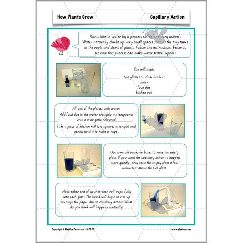 Plants Year 3 Planning Pack | Year 3 Science Plants Lessons — PlanBee