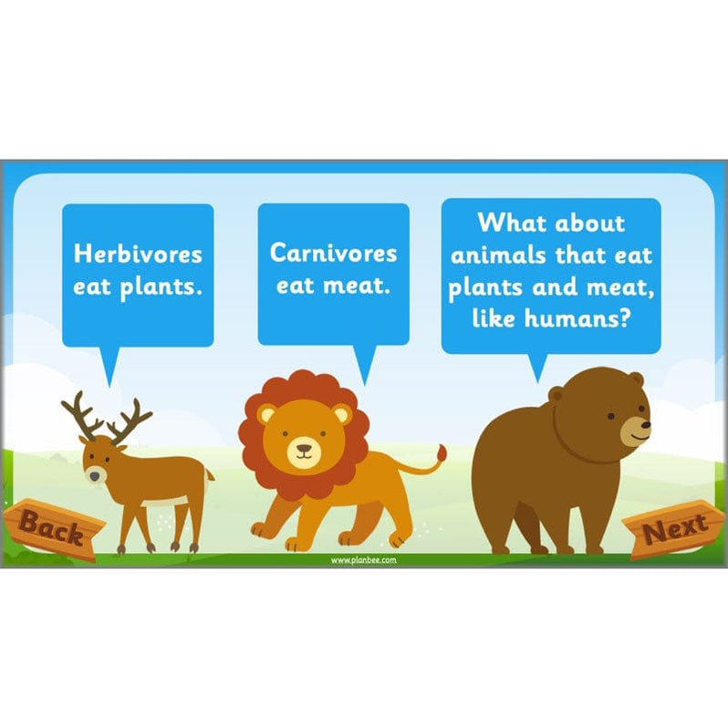 Animals Year 1 | Science Lessons KS1 by PlanBee