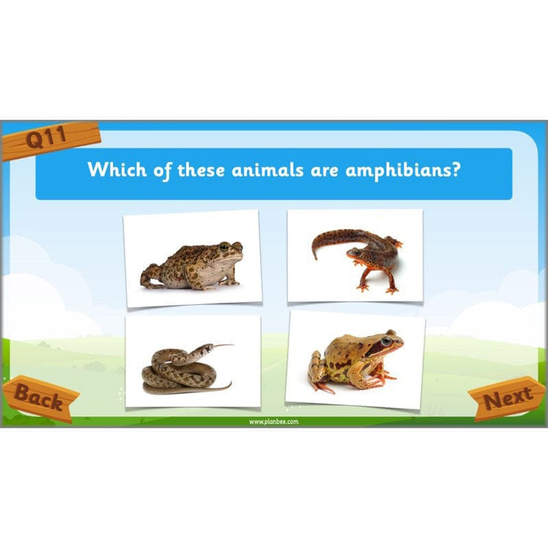 Animals Year 1 | Science Lessons KS1 by PlanBee