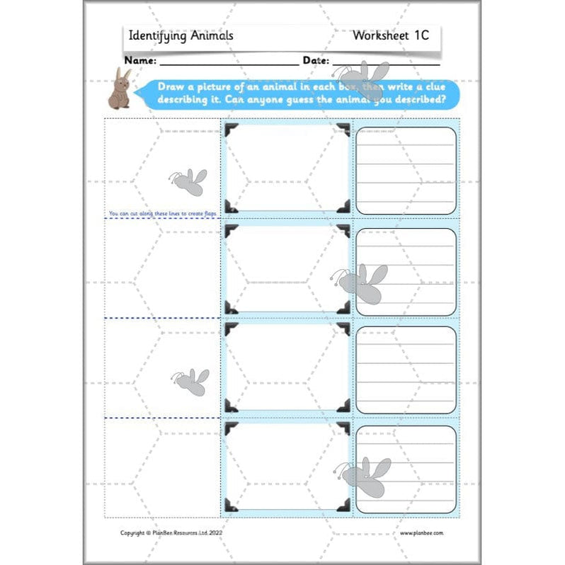Animals Year 1 | Science Lessons KS1 by PlanBee