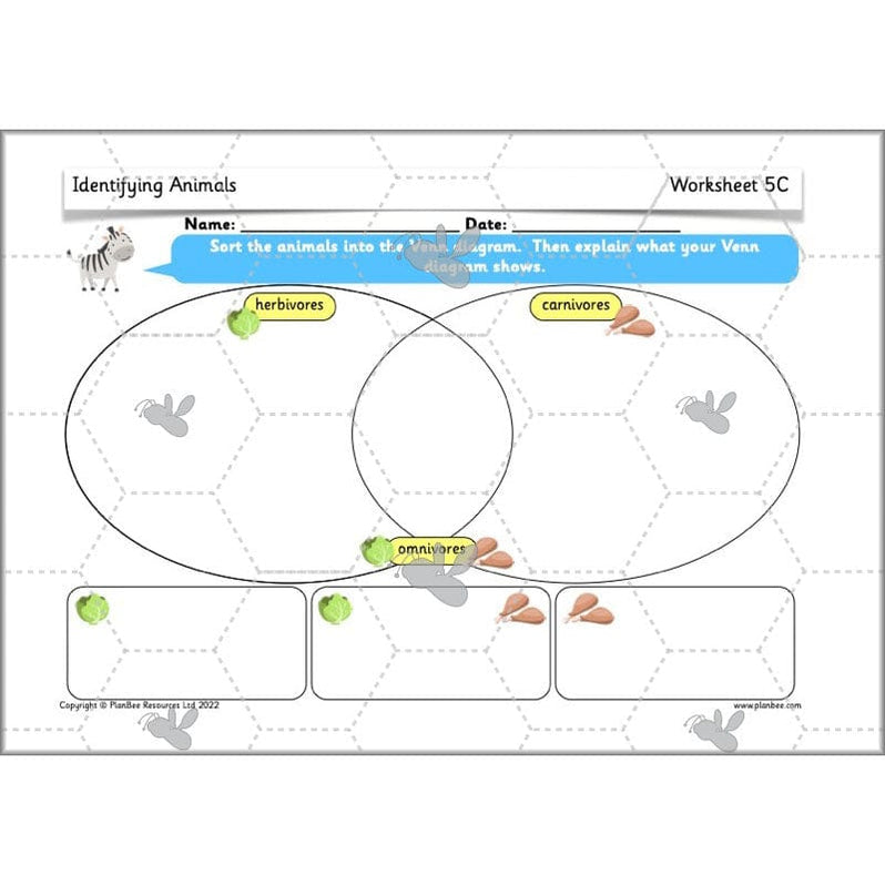 Animals Year 1 | Science Lessons KS1 by PlanBee