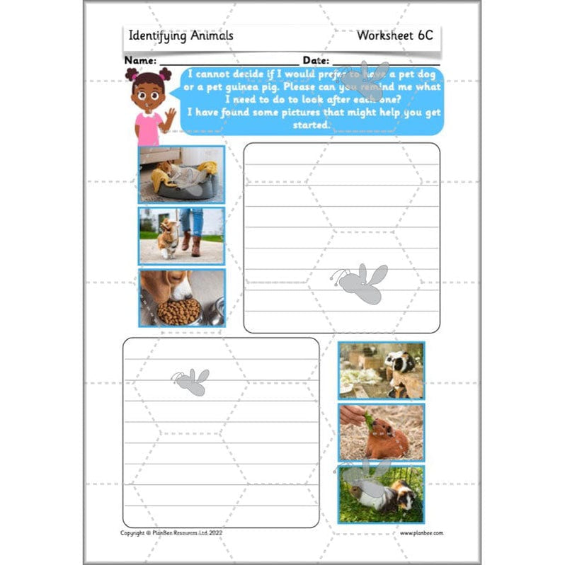 Animals Year 1 | Science Lessons KS1 by PlanBee