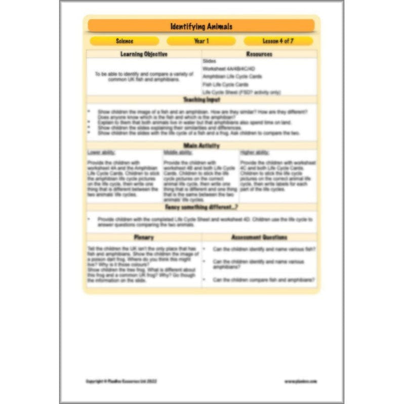 Animals Year 1 | Science Lessons KS1 by PlanBee