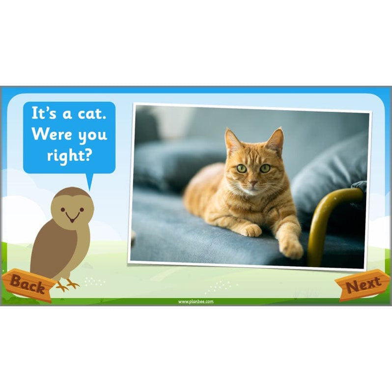 Animals Year 1 | Science Lessons KS1 by PlanBee