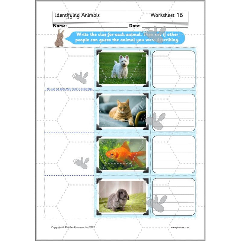 Animals Year 1 | Science Lessons KS1 by PlanBee
