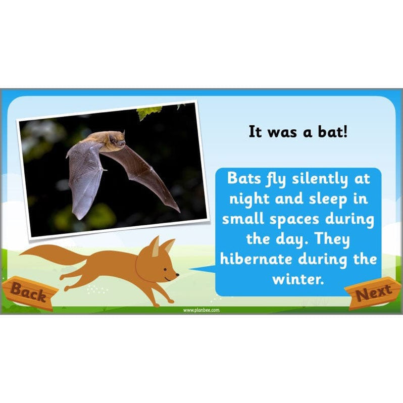 Animals Year 1 | Science Lessons KS1 by PlanBee