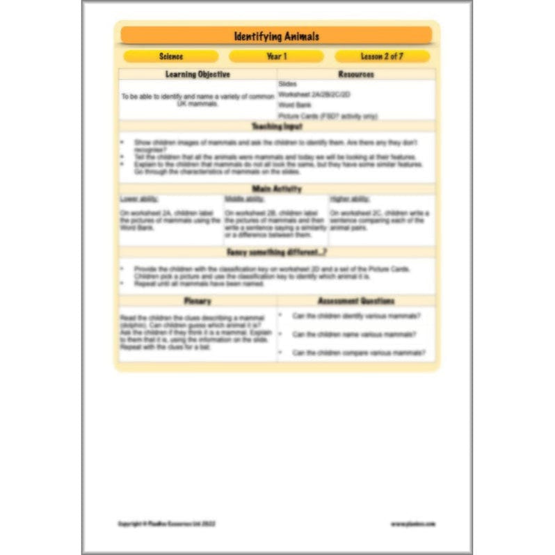 Animals Year 1 | Science Lessons KS1 by PlanBee