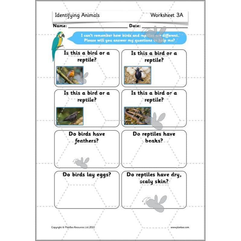 Animals Year 1 | Science Lessons KS1 by PlanBee