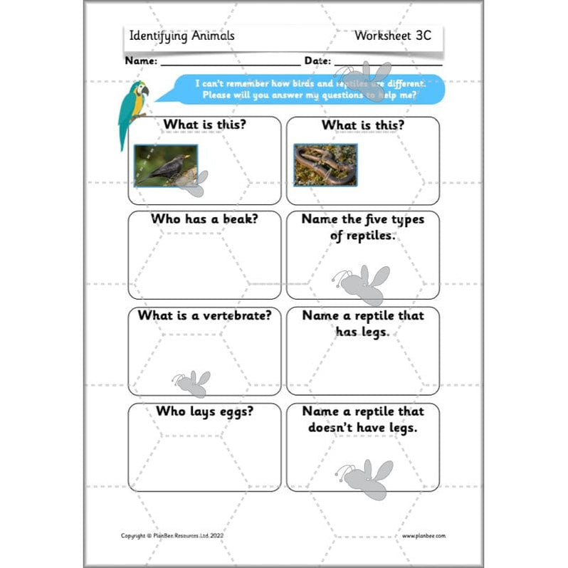 Animals Year 1 | Science Lessons KS1 by PlanBee
