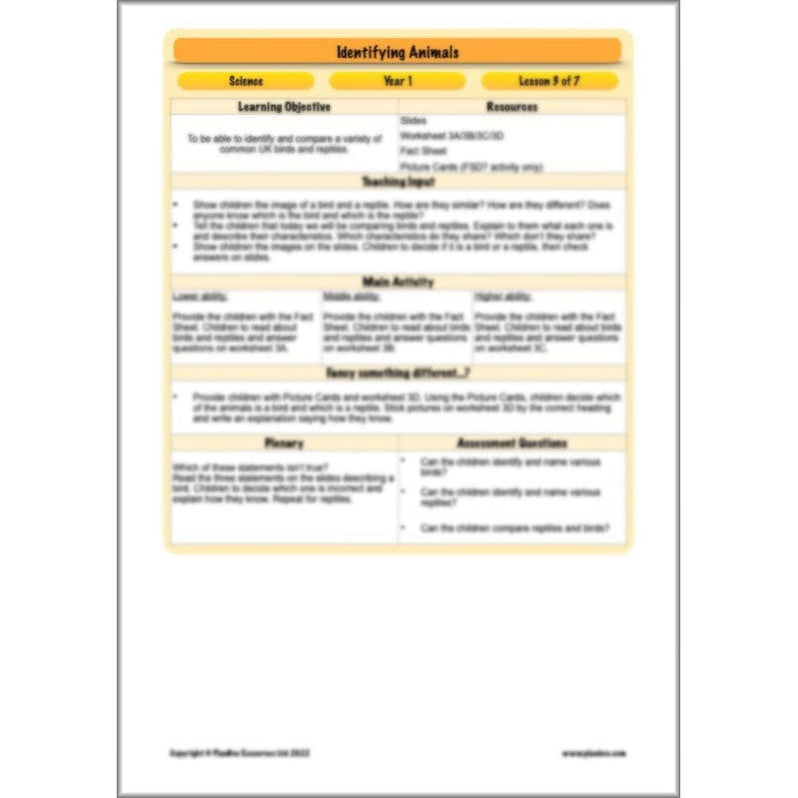 Animals Year 1 | Science Lessons KS1 by PlanBee