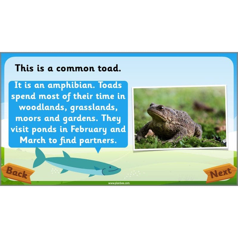 Animals Year 1 | Science Lessons KS1 by PlanBee