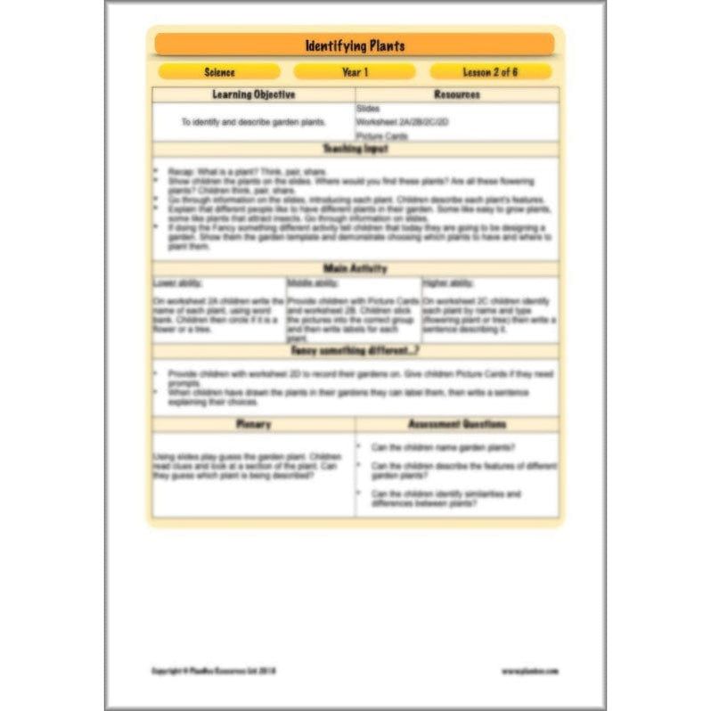 Identifying Plants Year 1 | KS1 Plants Lessons | PlanBee