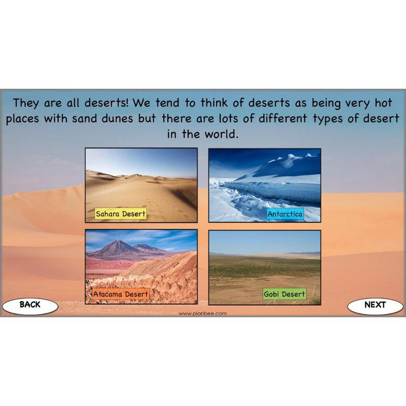In the Desert: Desert Habitat KS2 Geography by PlanBee
