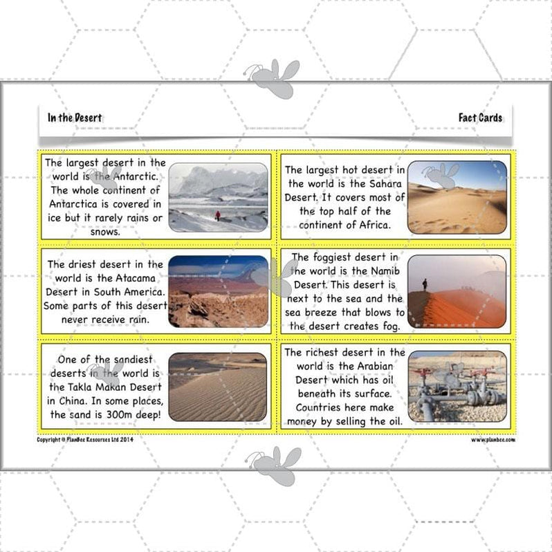 In the Desert: Desert Habitat KS2 Geography by PlanBee