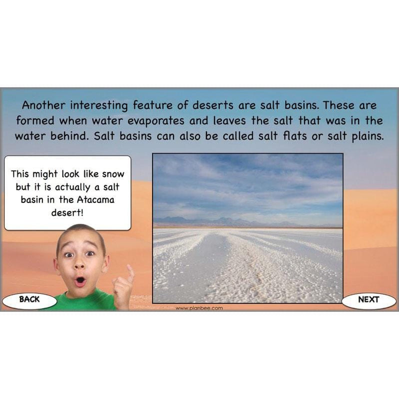 In the Desert: Desert Habitat KS2 Geography by PlanBee