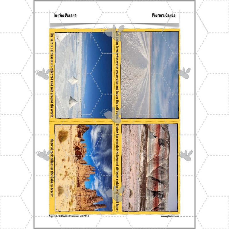 In the Desert: Desert Habitat KS2 Geography by PlanBee