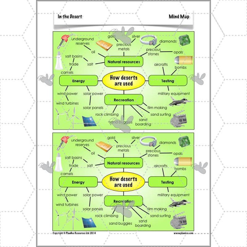 In the Desert: Desert Habitat KS2 Geography by PlanBee