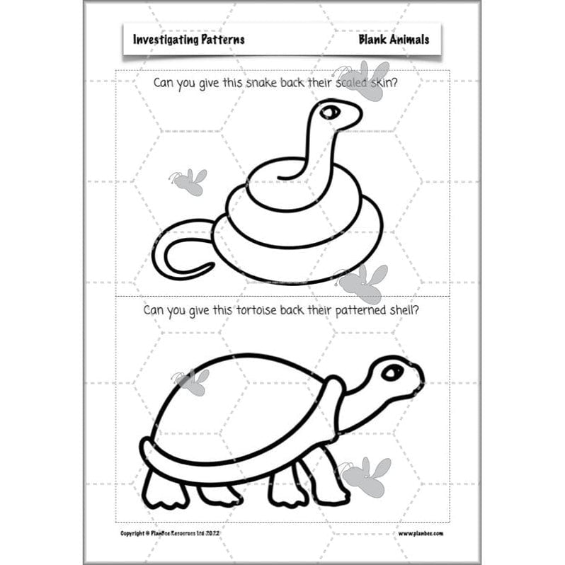 Investigating Patterns KS2 Art Primary Lessons by PlanBee