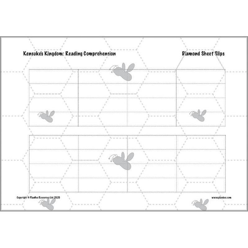 Michael Morpurgo Kensuke's Kingdom Planning by PlanBee