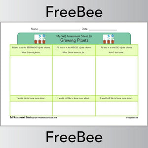 KS1 Science Self Assessment Sheets — PlanBee