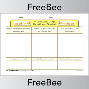 KS1 Science Self Assessment Sheets — PlanBee