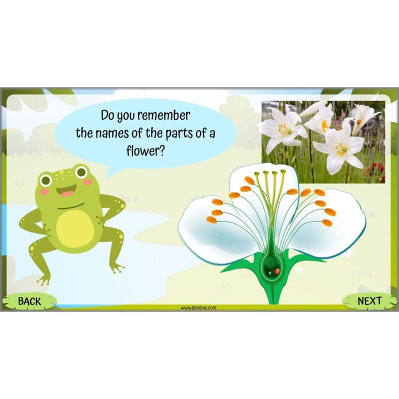 Living Things and Habitats Life Cycles KS2 Science PlanBee