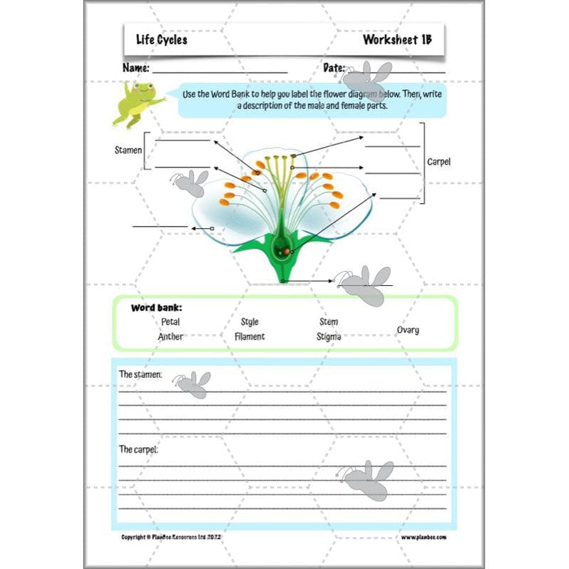 Living Things and Habitats Life Cycles KS2 Science PlanBee