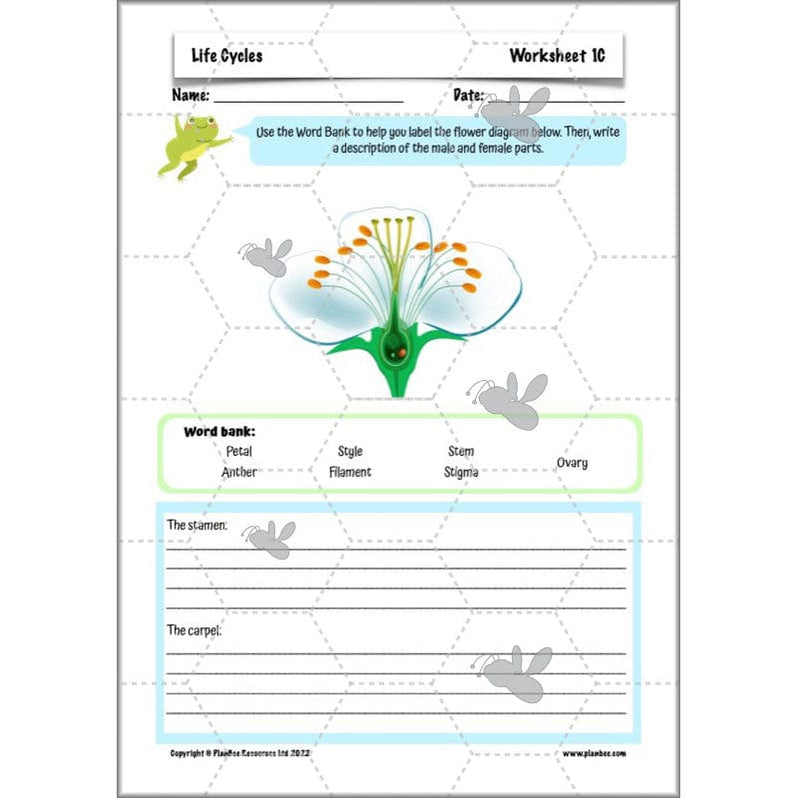 Living Things and Habitats Life Cycles KS2 Science PlanBee