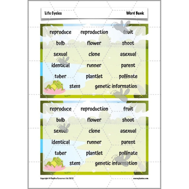 Living Things and Habitats Life Cycles KS2 Science PlanBee