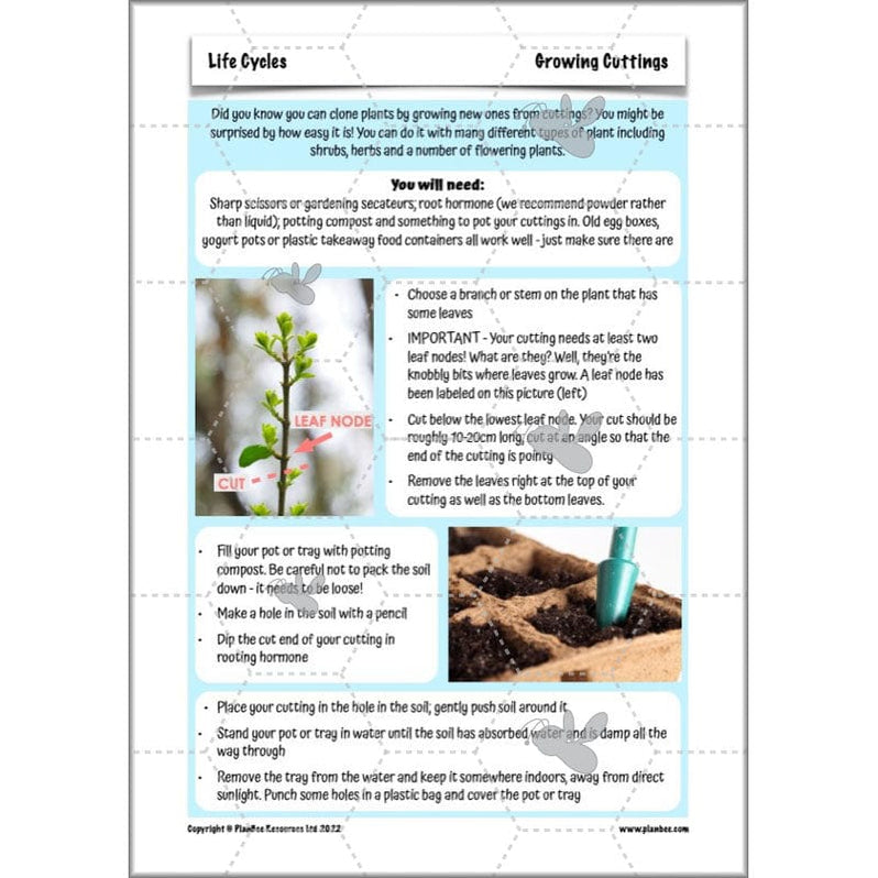Living Things and Habitats Life Cycles KS2 Science PlanBee