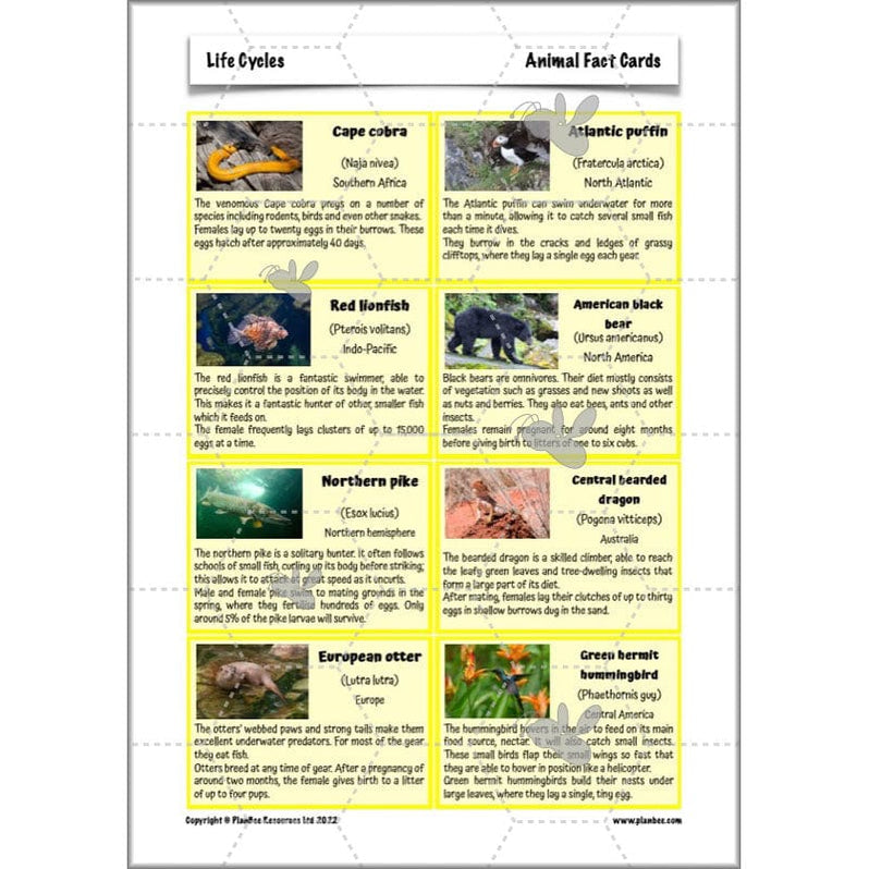 Living Things and Habitats Life Cycles KS2 Science PlanBee