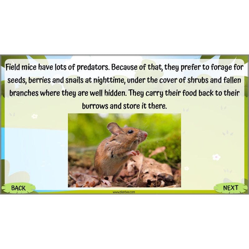 Living Things and Habitats Life Cycles KS2 Science PlanBee