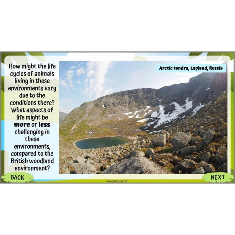 Living Things and Habitats Life Cycles KS2 Science PlanBee