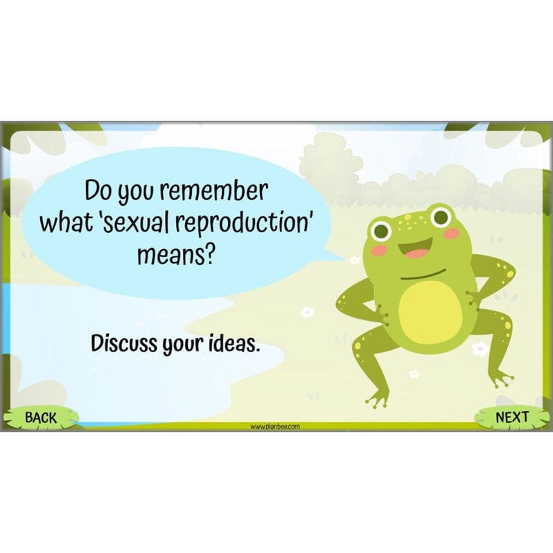 Living Things and Habitats Life Cycles KS2 Science PlanBee