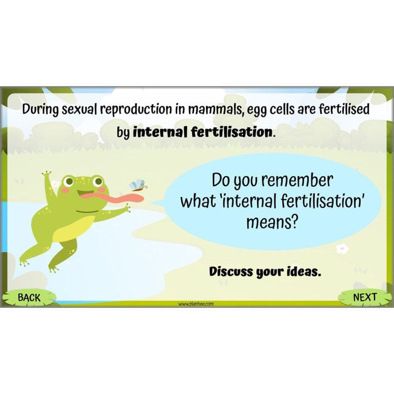 Living Things and Habitats Life Cycles KS2 Science PlanBee