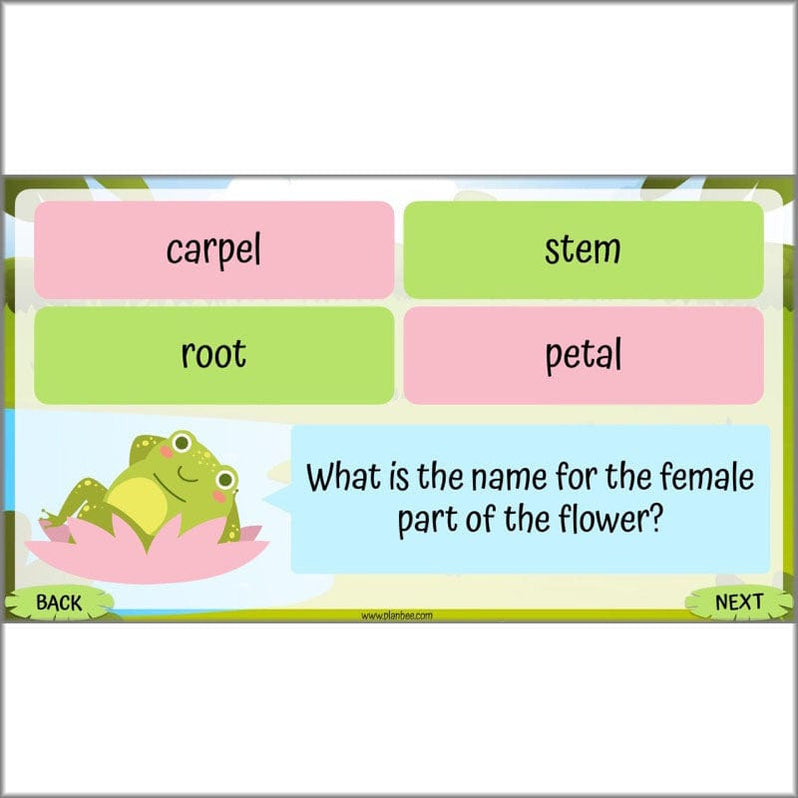 Living Things and Habitats Life Cycles KS2 Science PlanBee