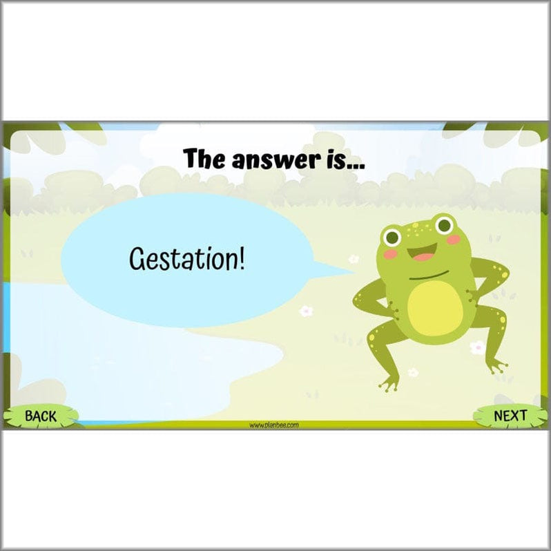 Living Things and Habitats Life Cycles KS2 Science PlanBee