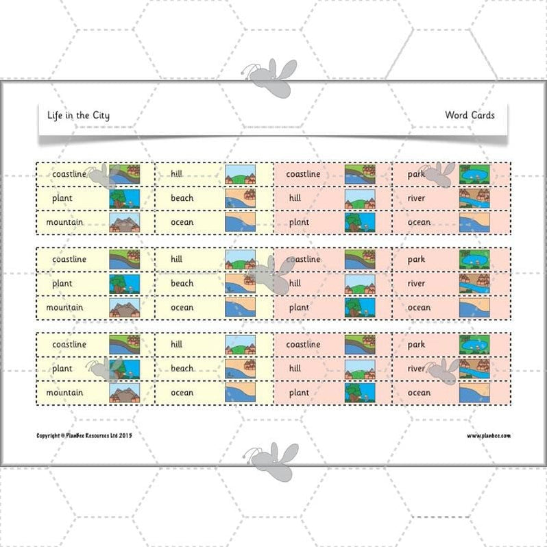 Life in the City - Geography lesson resources for KS1 — PlanBee