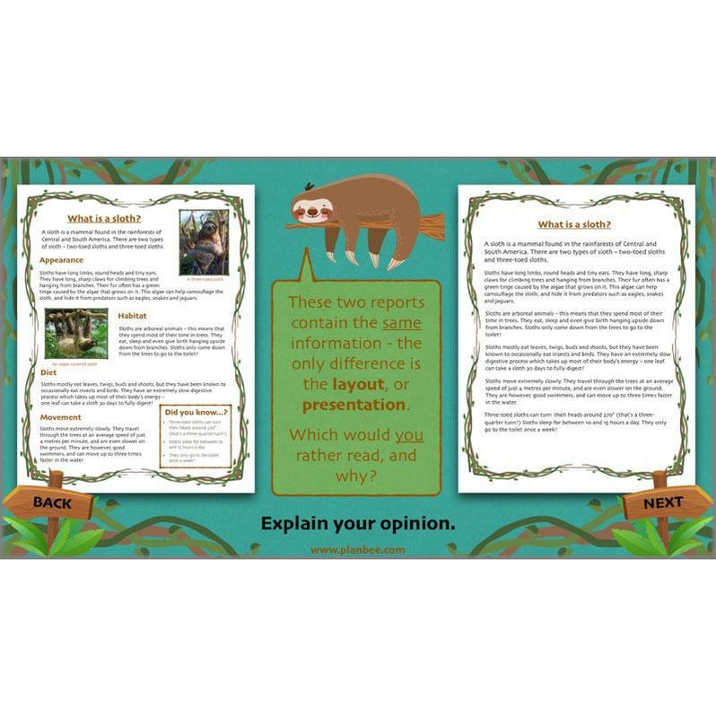 Lost in the Rainforest: Non chronological Reports Year 3 — PlanBee