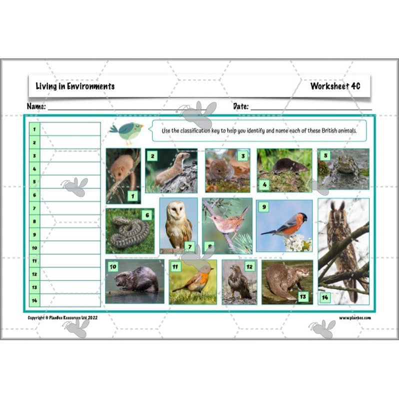Living Things and their Habitats Year 4 Science Lessons — PlanBee
