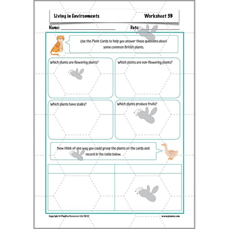 Living Things and their Habitats Year 4 Science Lessons — PlanBee