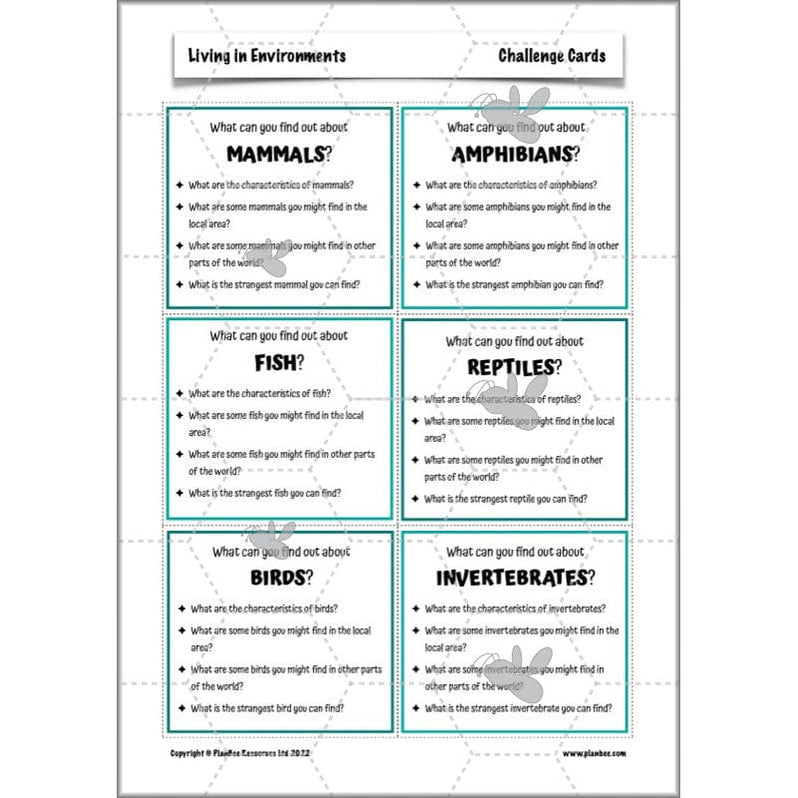 Living Things and their Habitats Year 4 Science Lessons — PlanBee
