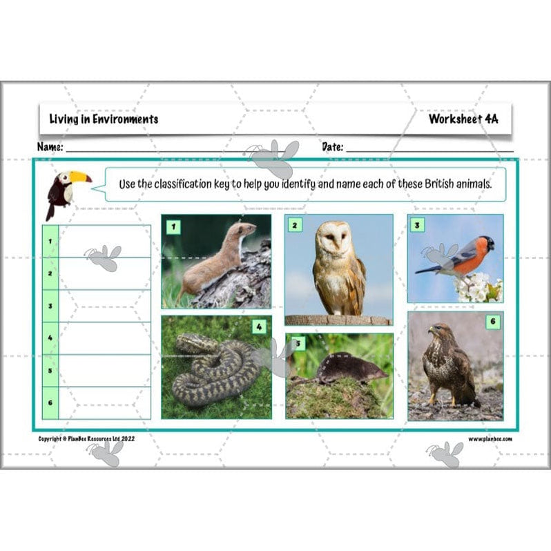 Living Things and their Habitats Year 4 Science Lessons — PlanBee